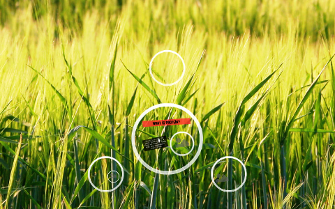 Protein Project by Arath Hermiz on Prezi