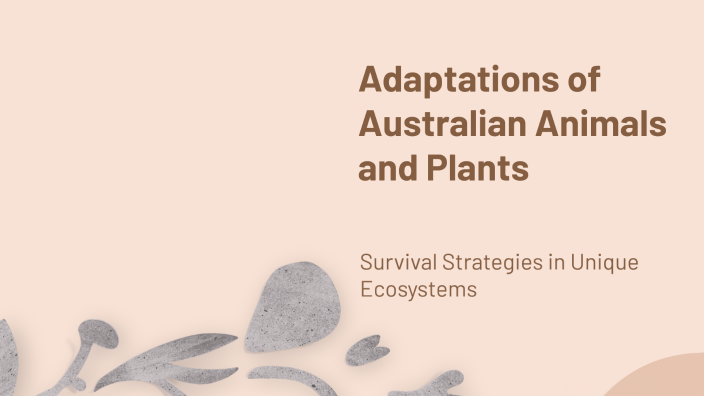 Adaptations of Australian Animals and Plants by Zamzam Butt on Prezi
