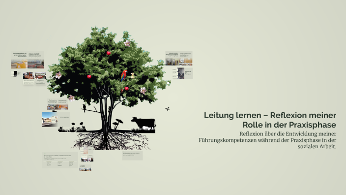 Leitung lernen – Reflexion meiner Rolle in der Praxisphase by Janine ...