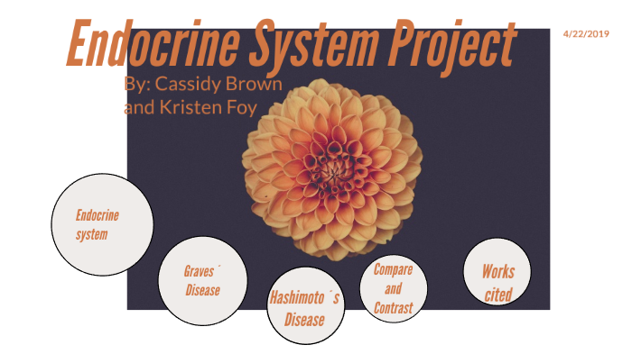 endocrine system project by kristen foy on Prezi