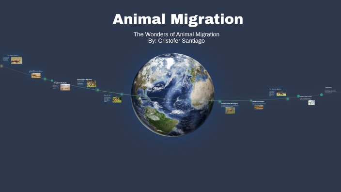 Animal Migration by Cristofer Santiago-Cuquej on Prezi