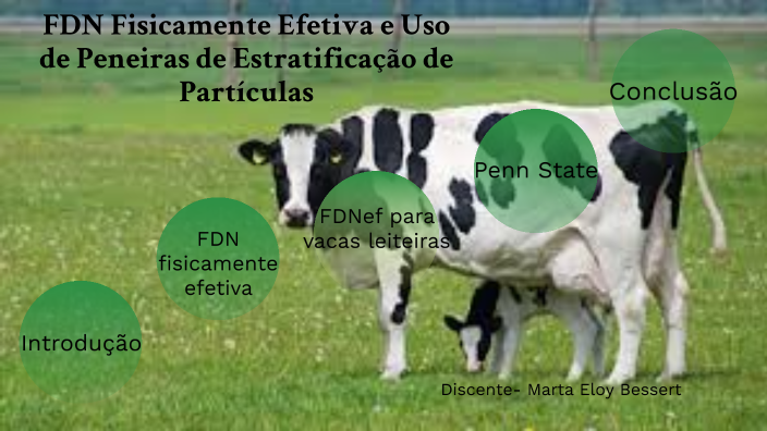 Fdn fisicamente efetiva e uso de peneiras de estratificação de ...