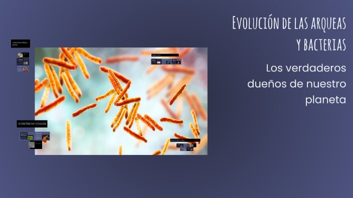 Evolución de las arqueas y bacterias by elparceritonub on Prezi