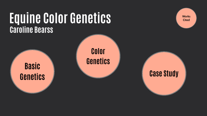 Equine Color Genetics by Caroline Bearss on Prezi