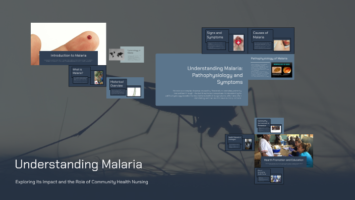 Understanding Malaria by Nimra Tahir on Prezi