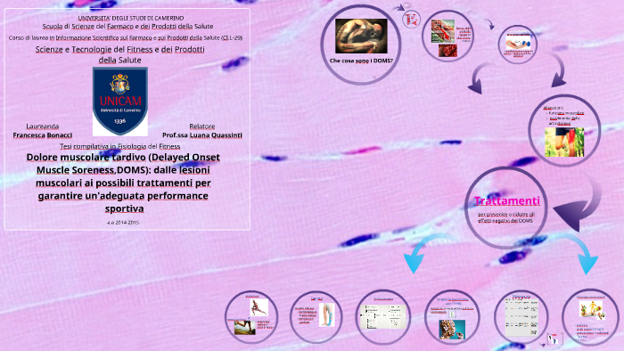 Tesi compilativa by Francesca Bonacci on Prezi