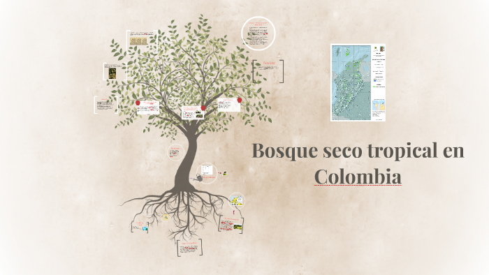 Bosque seco en Colombia by Daniela Granada on Prezi