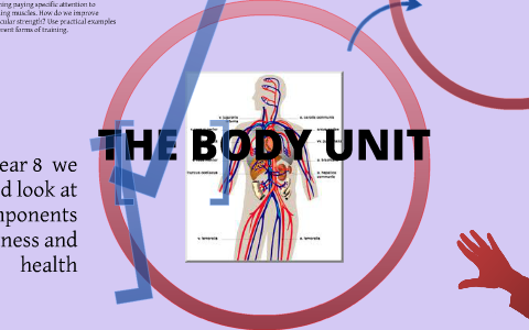 THE BODY SCHEME OF LEARNING by tracey barton