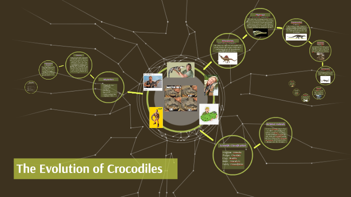 The Evolution of Crocodiles by Sam Barrentine on Prezi