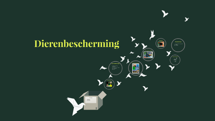 Dierenbescherming by Anne van Driel on Prezi
