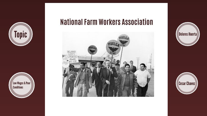 national farm workers association . by Naomi Nunez on Prezi