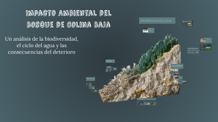 Impacto Ambiental del Bosque de Colina Baja en Perú Los bosques de ...
