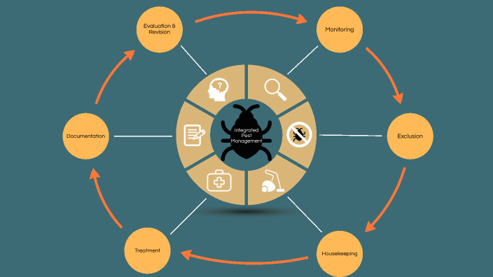 IPM Cycle - Group Overview by Kate Blair on Prezi