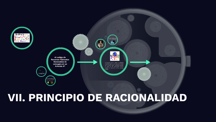 VII. PRINCIPIO DE RACIONALIDAD by alexandra garcia on Prezi