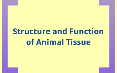 Biology:tissue types structure and function by Alexandra Castleman on Prezi