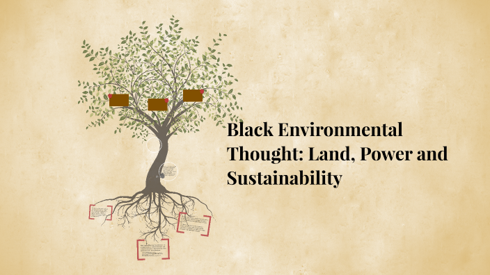 Black Environmental Thought: Land, Power and Sustainability by Naimah ...