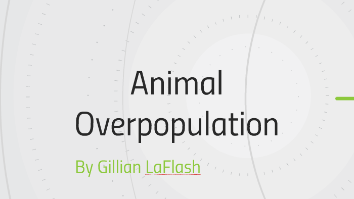 Animal Overpopulation by Gillian LaFlash on Prezi