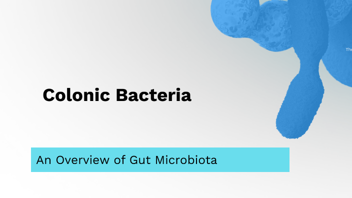 Understanding Colonic Bacteria by tala fa on Prezi