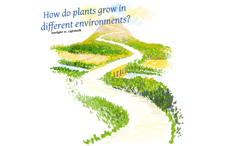 How do plants grow in different environments? by lebe adelman on Prezi