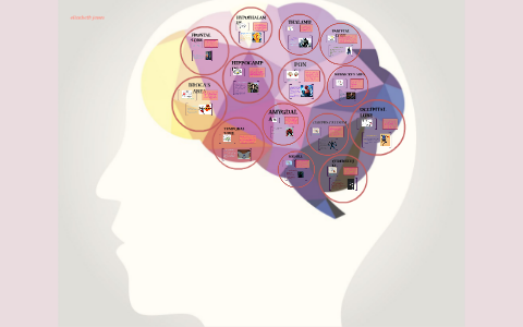 Superhero Brain Project by Elizabeth Jones on Prezi