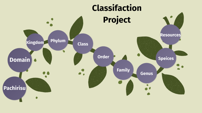 Classification project by Anshul Munnangi on Prezi