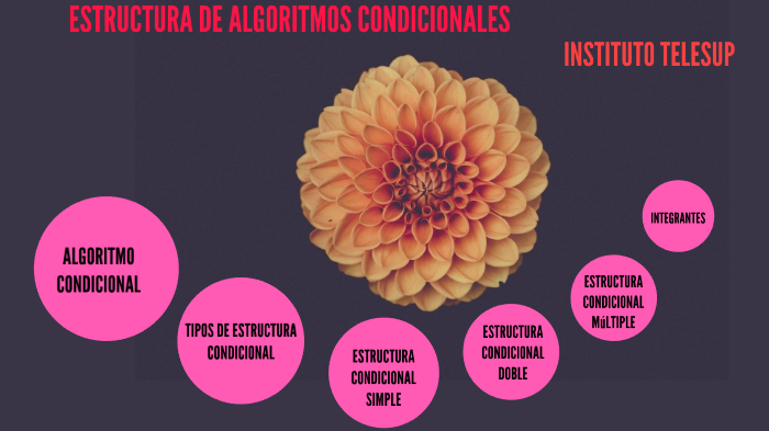 Estructura de Algoritmo Condicionales by MARIA ALVINA SANCHEZ QUISPE on ...