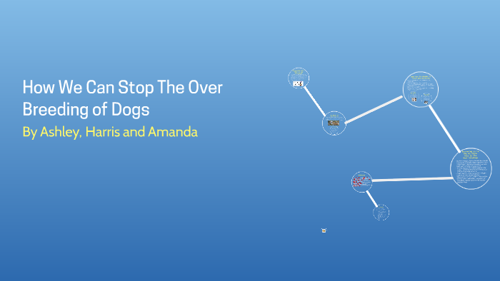How We Can Stop The Overbreeding of Dogs by Ashley H. on Prezi