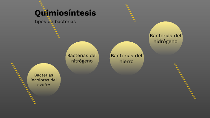 quimiosíntesis by RODRIGUEZ ARELLANO ANA CRISTINA on Prezi