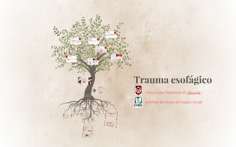 Trauma esofágico by Uziel Aguirre Pérez