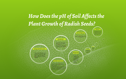 How Does the pH of Soil Affects the Plant Growth of Radish S by jessica ...