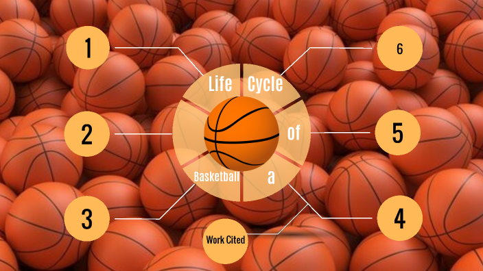 Basketball Life Cycle by Salman Siddiqi on Prezi