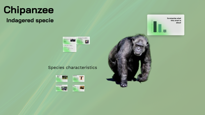Chipanzee by Gavin Camacho on Prezi