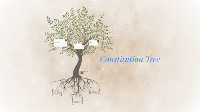 Constitution Tree by arielle williams on Prezi