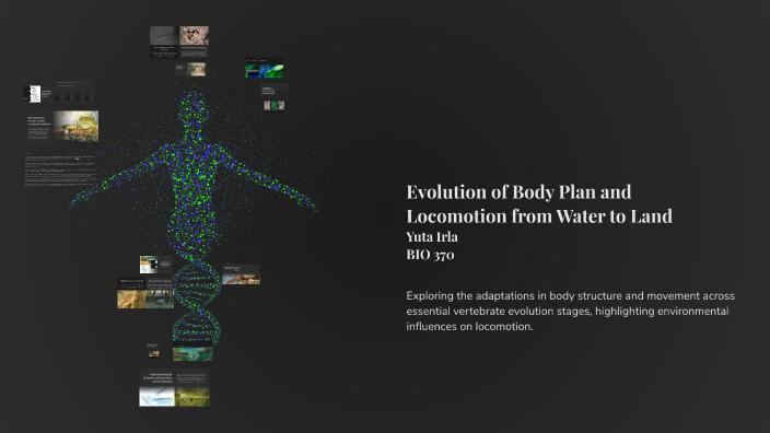 Evolution of Body Plan and Locomotion from Water to Land by Yuta Irla ...
