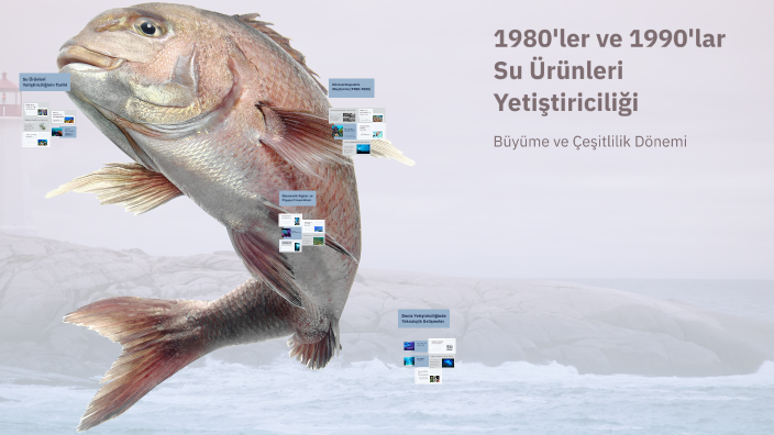 1980'ler ve 1990'lar Su Ürünleri Yetiştiriciliği by Melih Ozkanli on Prezi