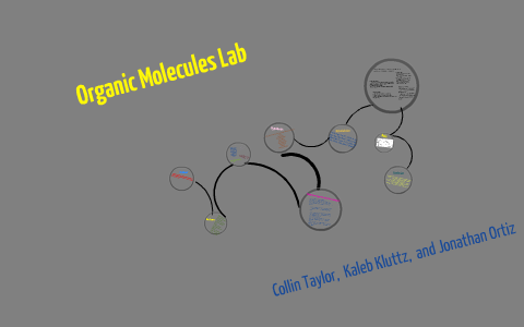 Organic Molecules lab by collin taylor on Prezi