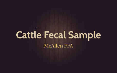 Cattle Fecal Sample by Amanda Cedillo on Prezi