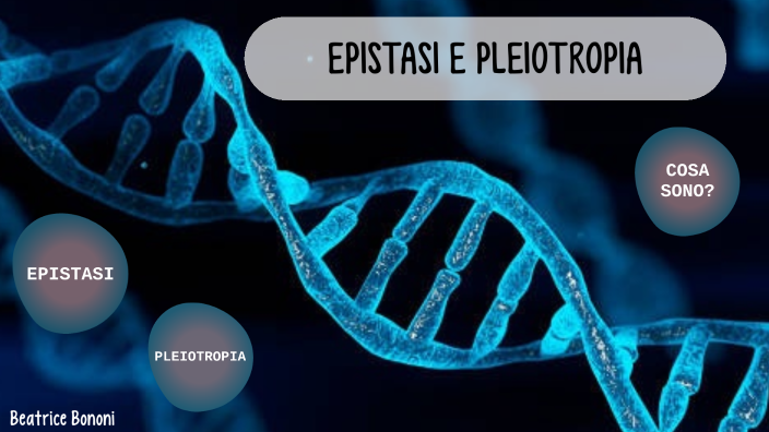 epistasi e pleiotropia by Beatrice Bononi on Prezi