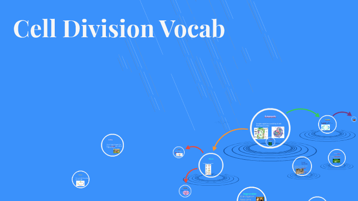 Cell Division Vocab by Ainsley Howard on Prezi