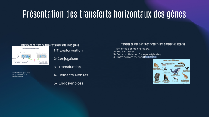 Présentation des transferts horizontaux des gènes by Malik on Prezi
