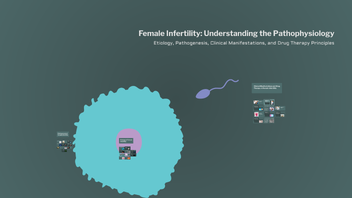 Female Infertility: Understanding the Pathophysiology by santhi krishna ...
