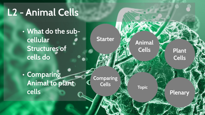 L2 - Animal Cells by James Marr on Prezi