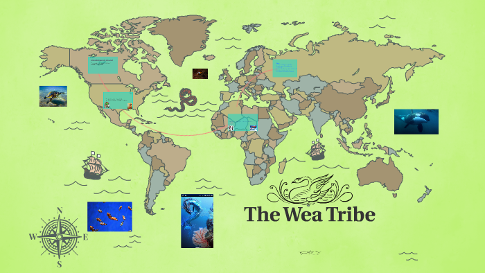 Wea tribe by Meghan Lawson on Prezi