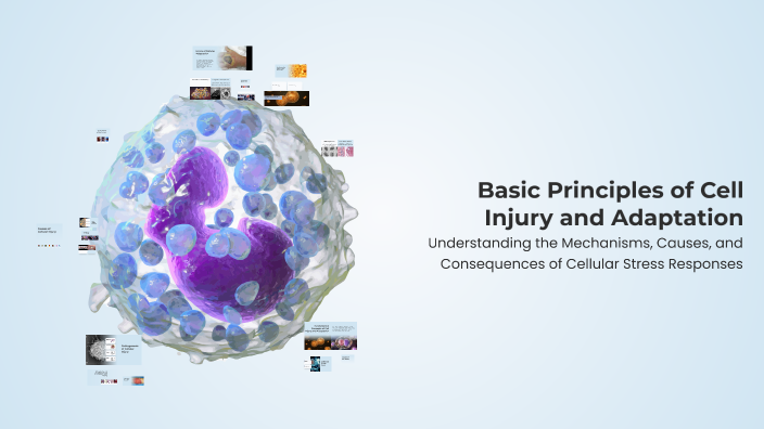 Basic Principles of Cell Injury and Adaptation by akhilesh kumar on Prezi