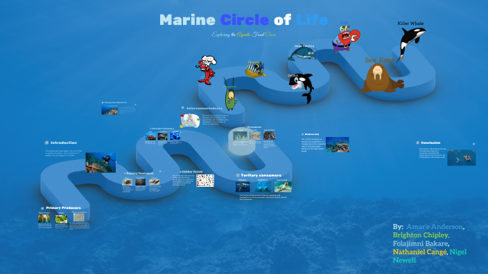 Marine Circle of Life by Jimi Bakare on Prezi