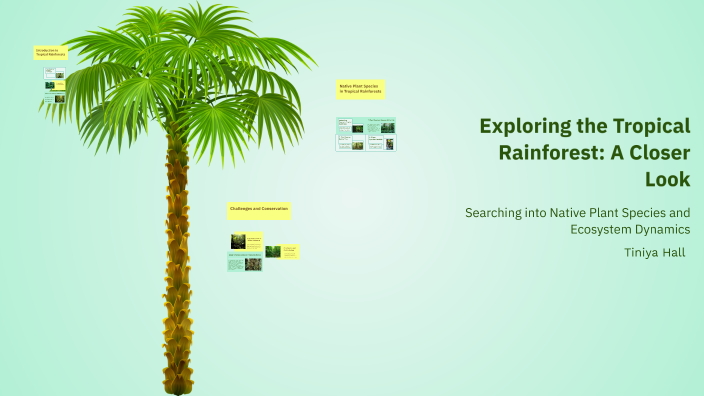 Exploring the Tropical Rainforest: A Closer Look by Tiniya Hall on Prezi