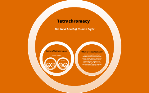 Tetrachromacy, the Four Coned Eye by Perseus Falcon on Prezi