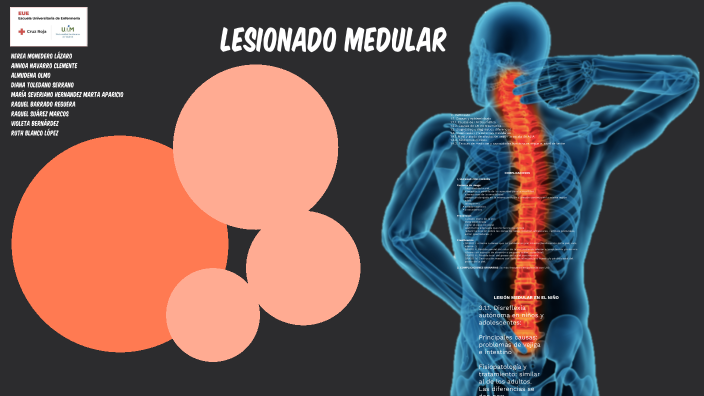 LESIONADO MEDULAR by Grupo 1 Cruz Roja on Prezi