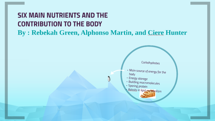 SIX MAIN NUTRIENTS AND THE CONTRIBUTION TO THE BODY by Rebekah Green on ...