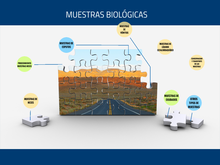 MUESTRAS BIOLÓGICAS by on Prezi